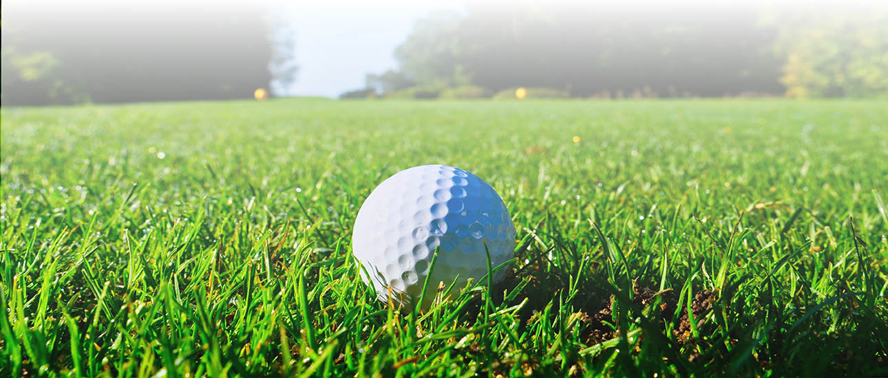 IMS B2B Barter – New Sales! - IMS Barter Trade Exchange Network